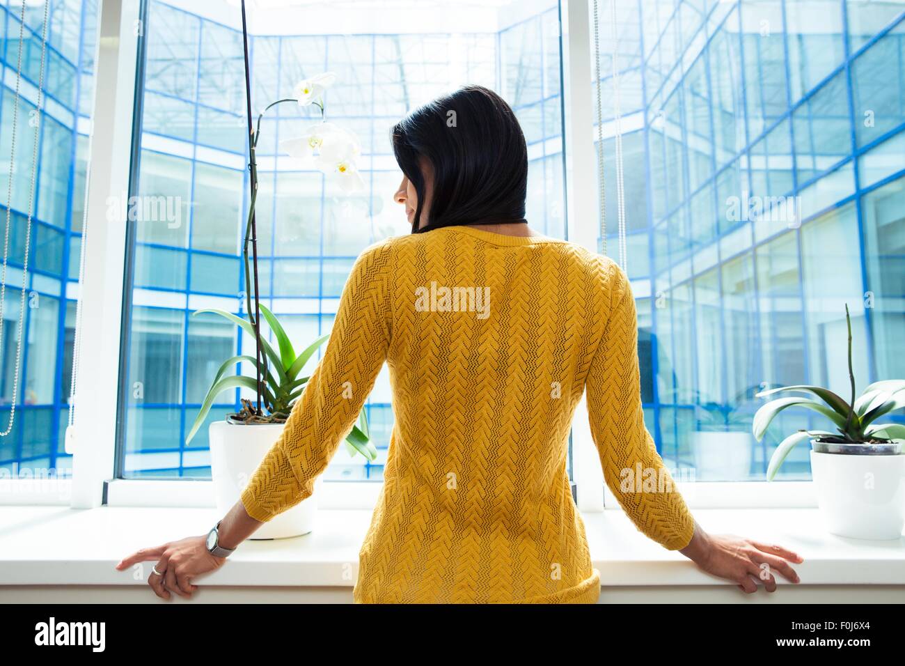 Back view portrait of a businesswoman standing in office near window ...