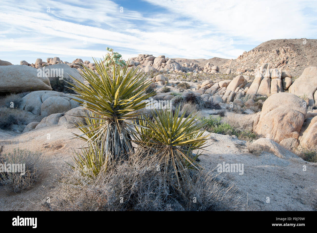 Rock formations at White Tank, Joshua Tree National Park, near Indio ...