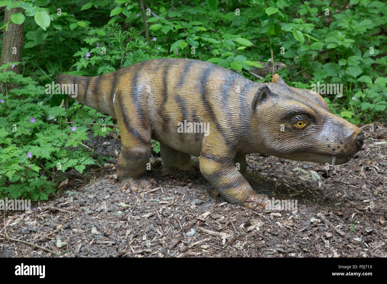 Cynognathus an extinct cynodont predatory therapsid found in the Stock ...