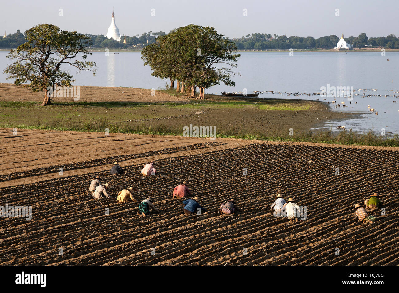 Local women working in the fields, Taungthaman lake and Pahtodawgyi ...