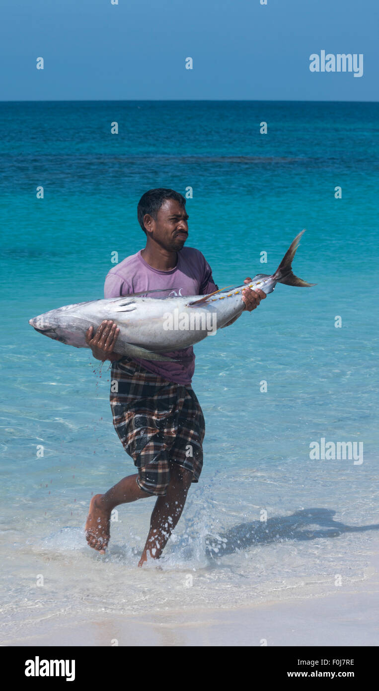 Fisherman carrying his freshly caught fish, island Masirah, Oman Stock ...