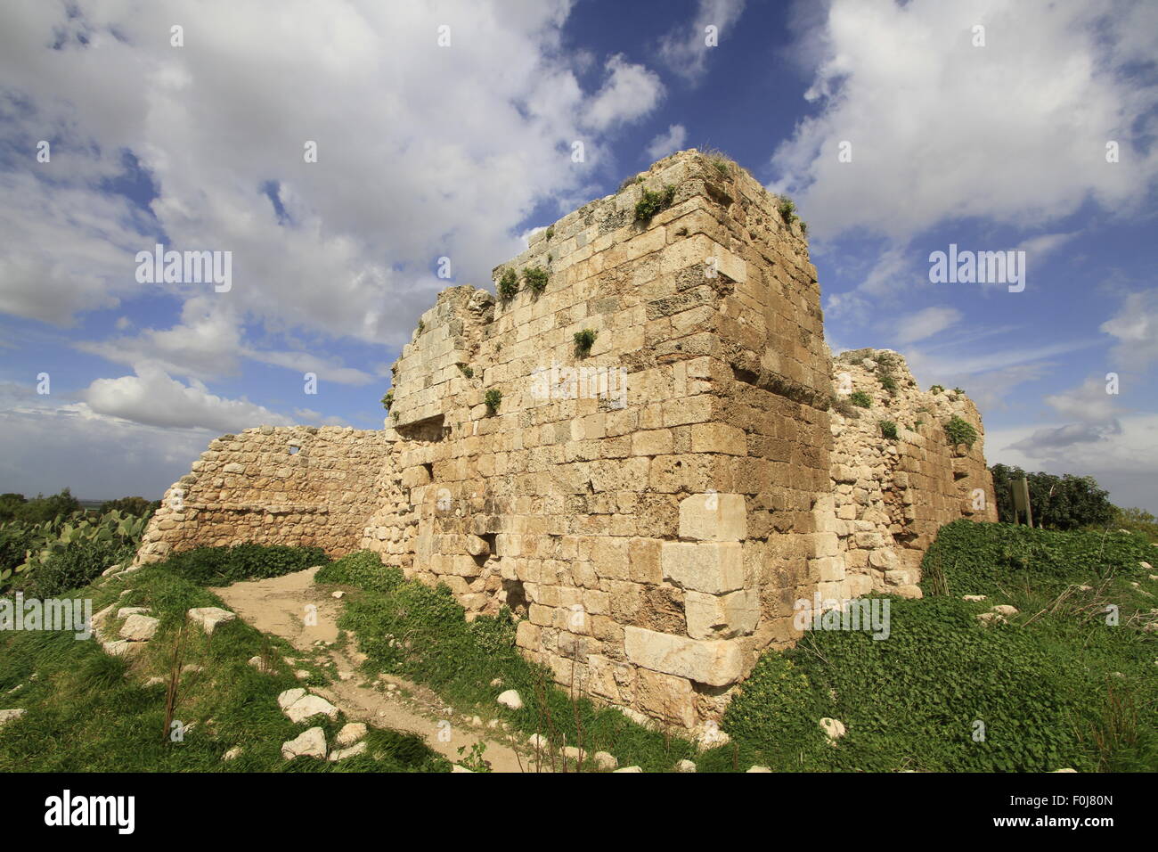 Israel, Sharon region, Kakun National Park, site of the Crusader Caco ...