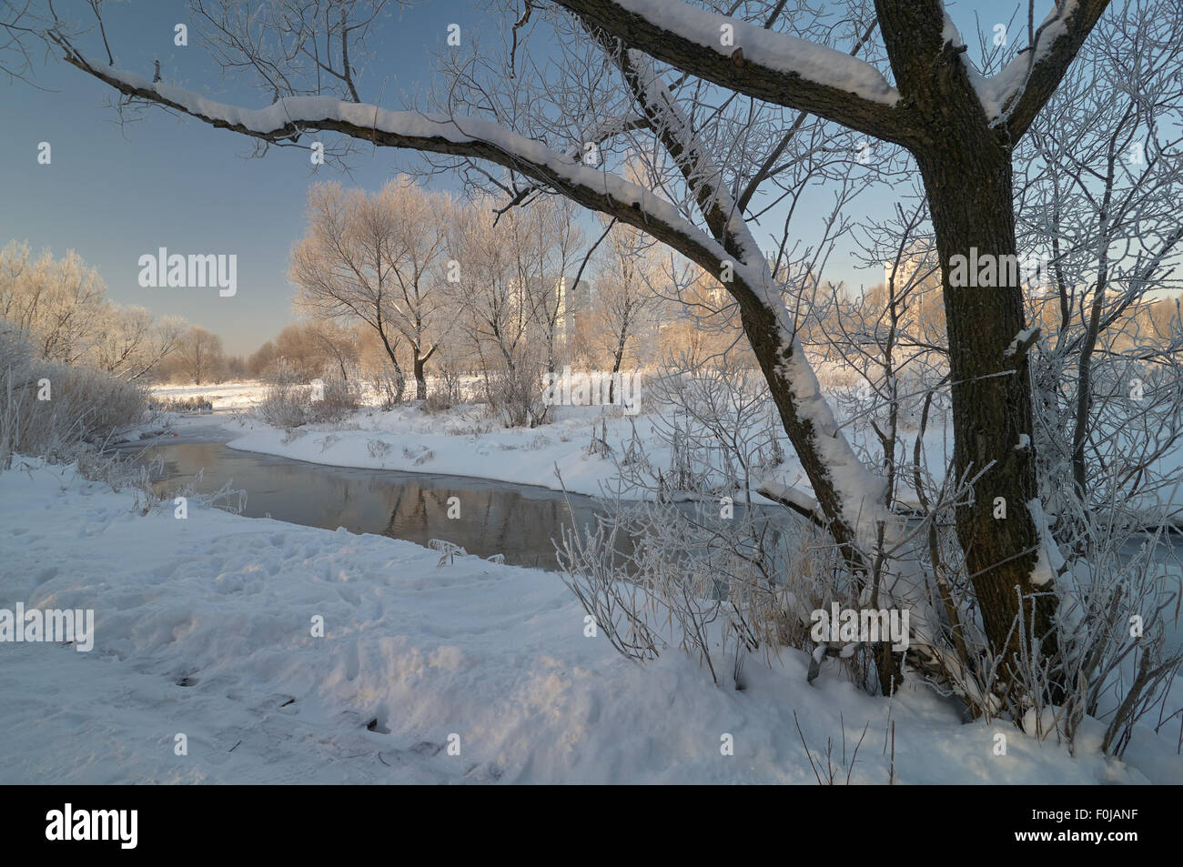 This picture depicts winter morning scene on the river with trees and ...