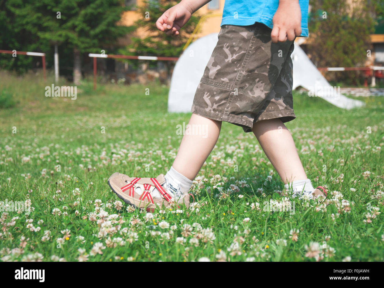 Child walking on the meadow with flowers Stock Photo - Alamy