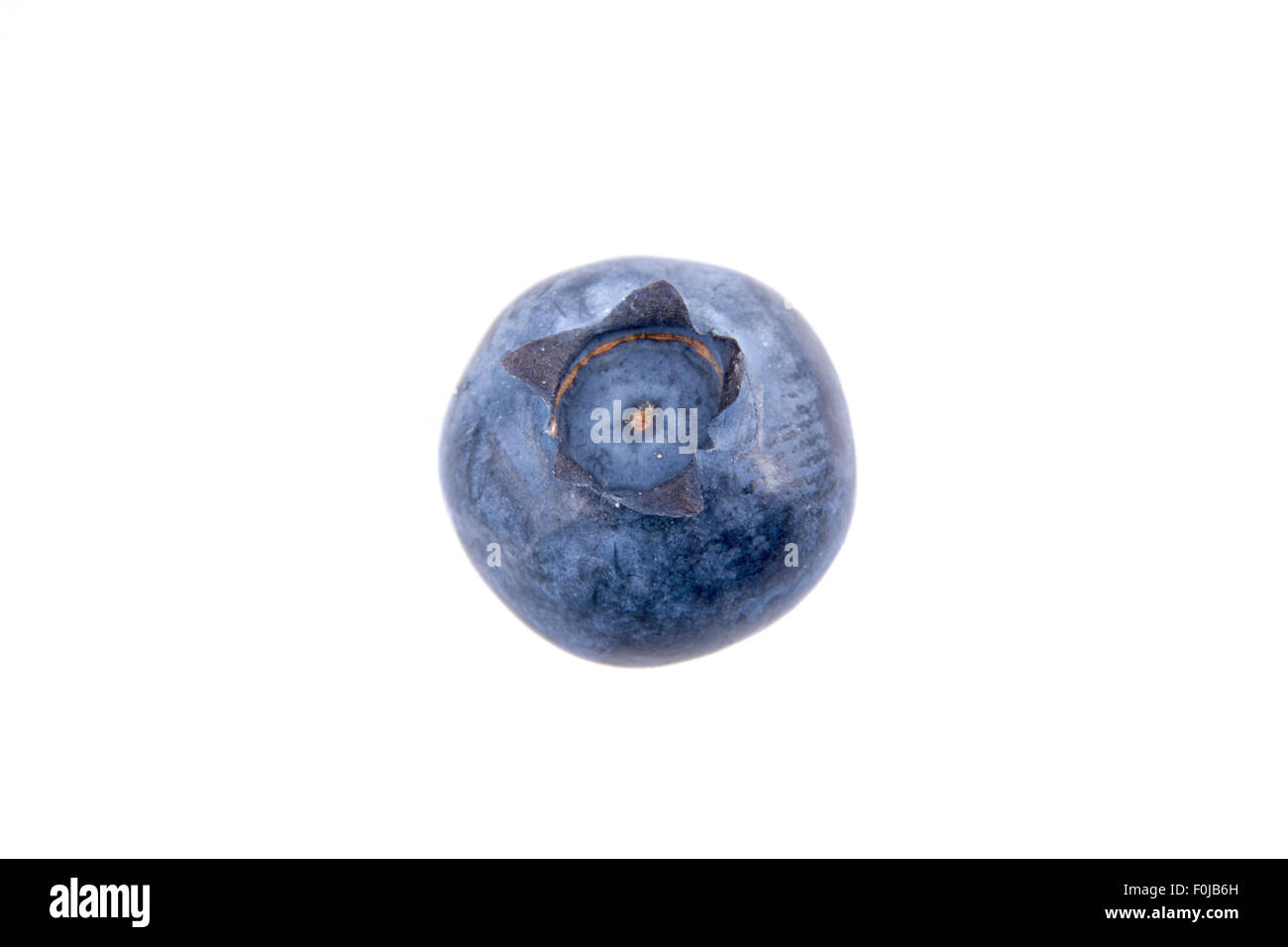 One blueberry isolated on white background Stock Photo - Alamy