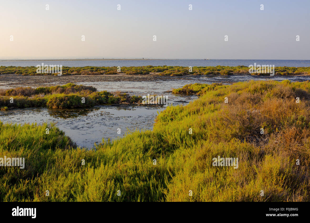 sunset in the natural reserve of San Javier, Spain Stock Photo - Alamy