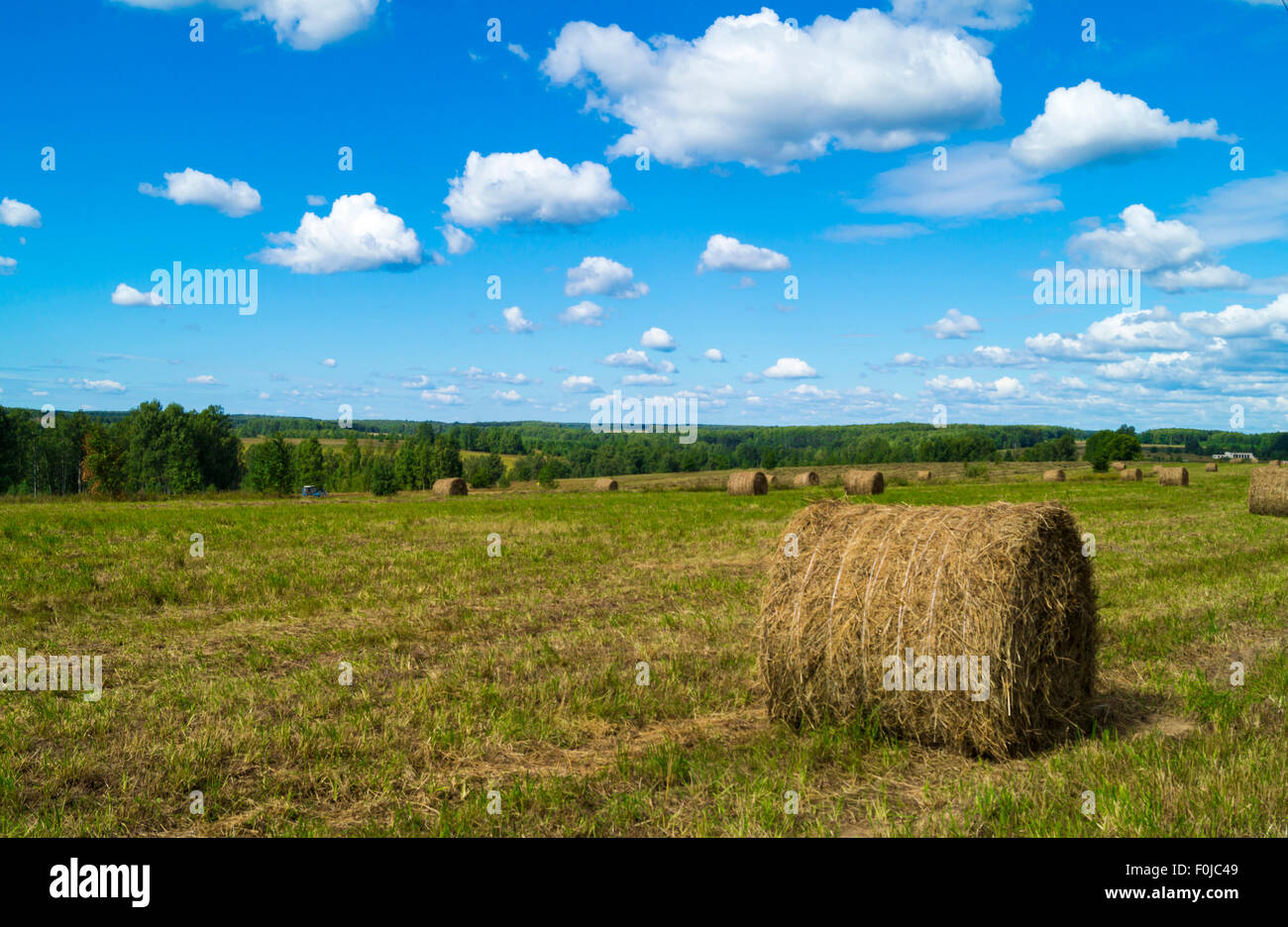 Rural background hi-res stock photography and images - Alamy