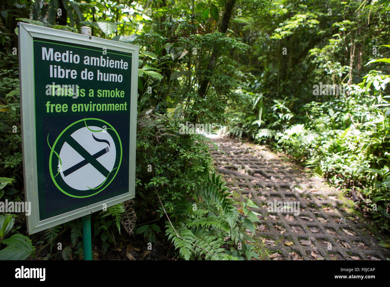 No smoking sign at the entrance of a walking path in the forest ...