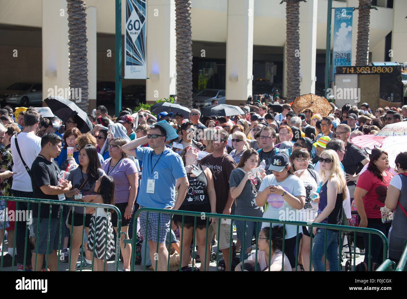 Queue people crowd line fans hi-res stock photography and images - Alamy