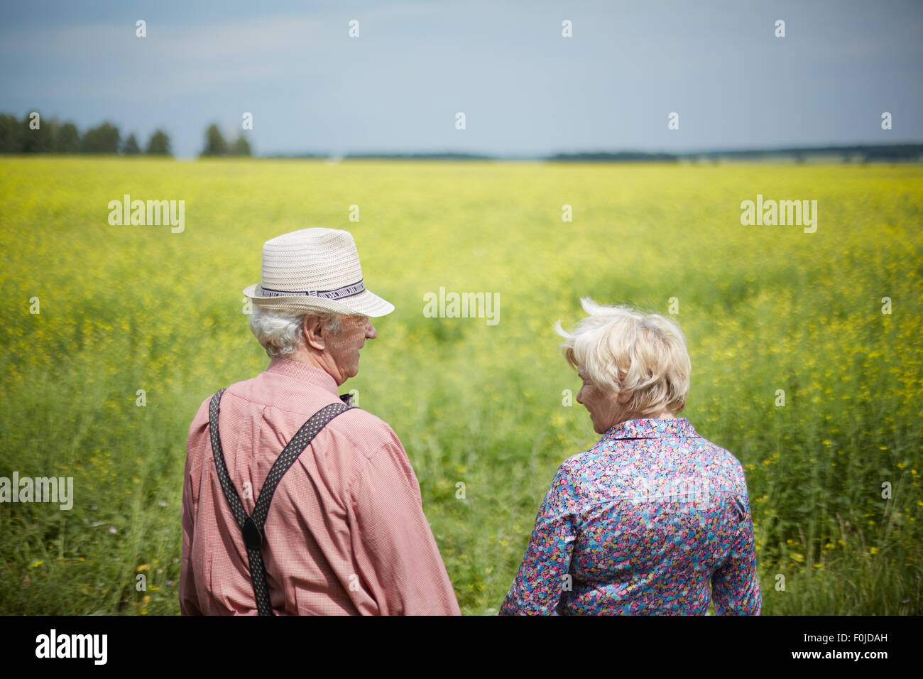 Rear view of two seniors walking down meadow on summer day Stock Photo ...