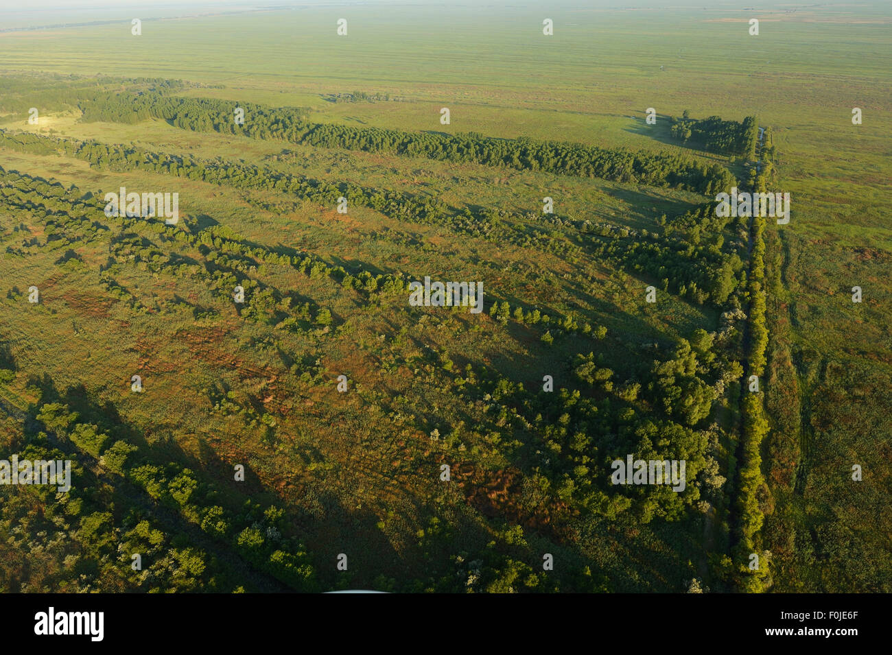 Aerial view over the Danube delta, showing some forest regrowth in ...