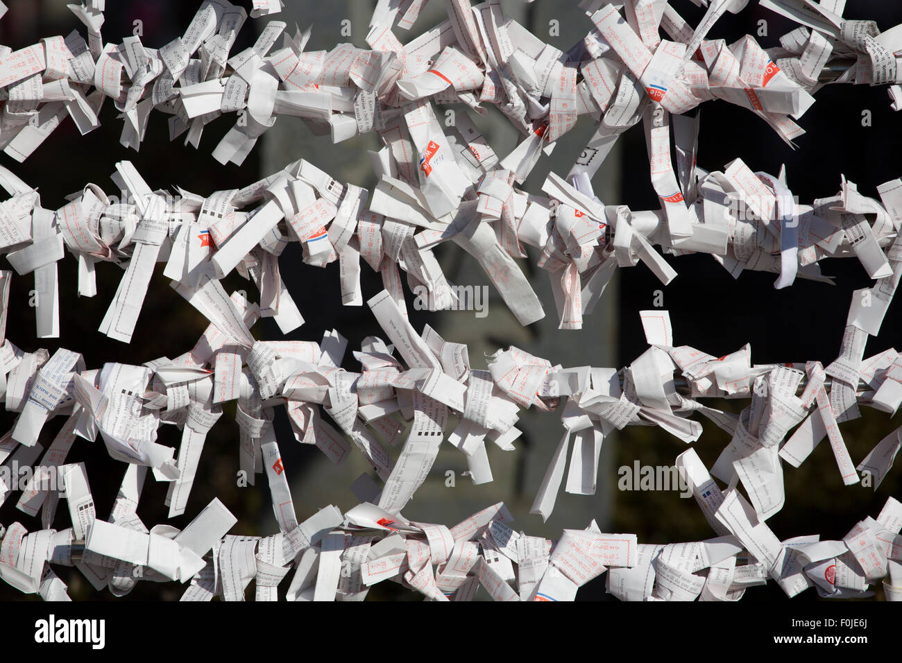 Dozens of omikuji, or Japanese fortune paper, are wrapped on string at ...