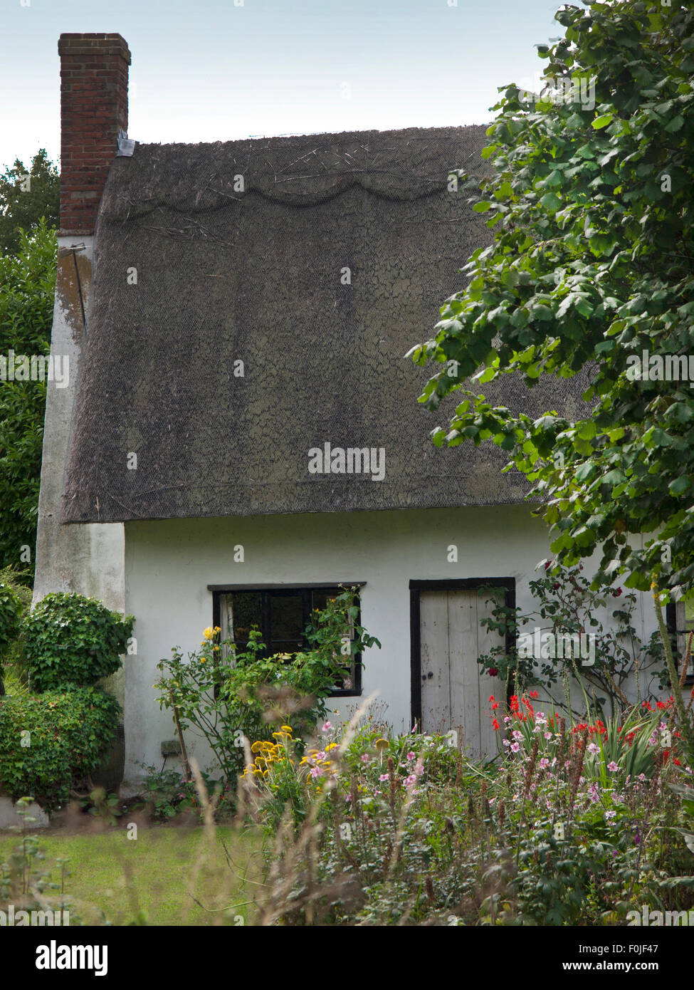 A small thatched cottage in the Suffolk village of Burgate Stock Photo ...