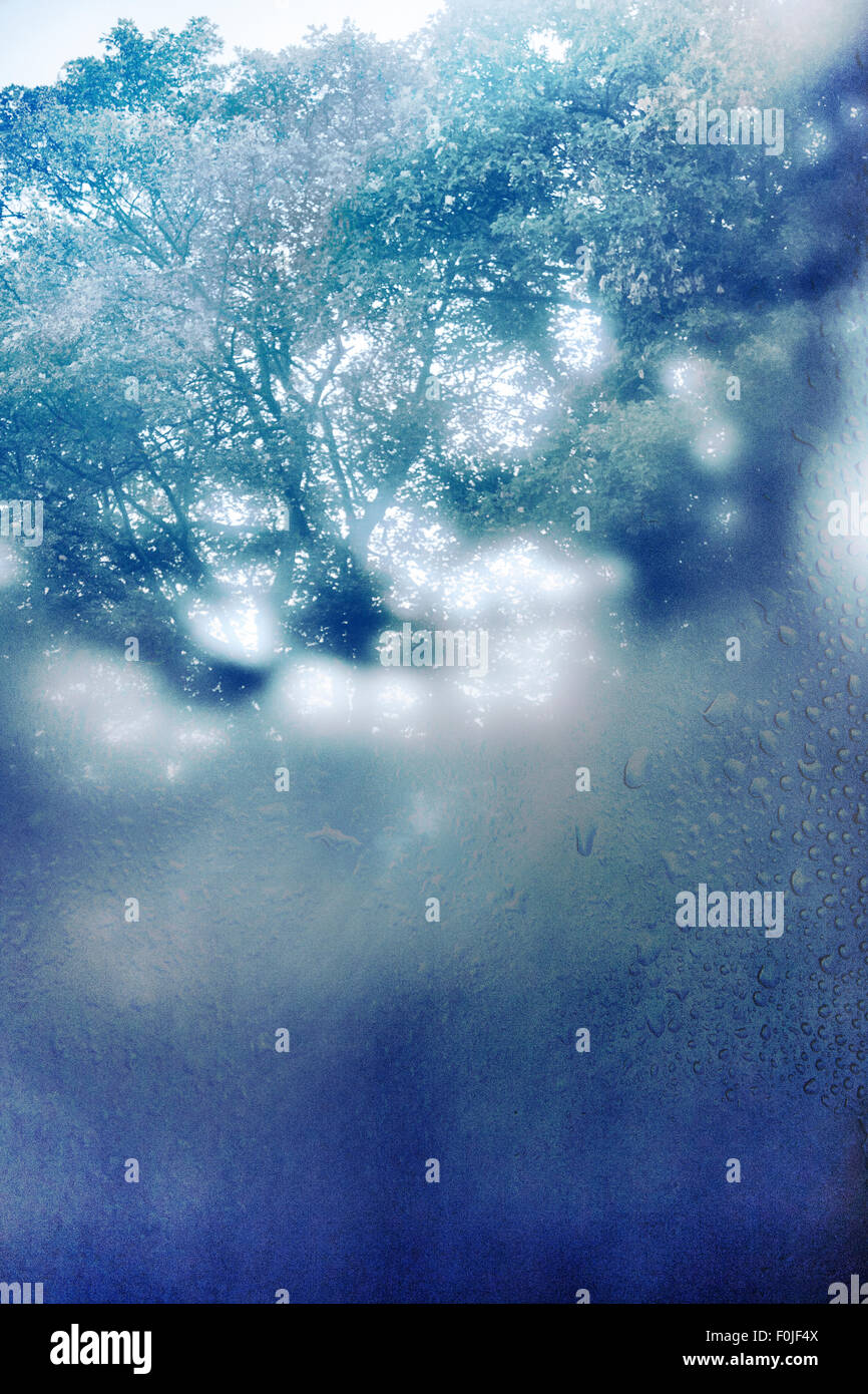 Trees through window hi-res stock photography and images - Alamy