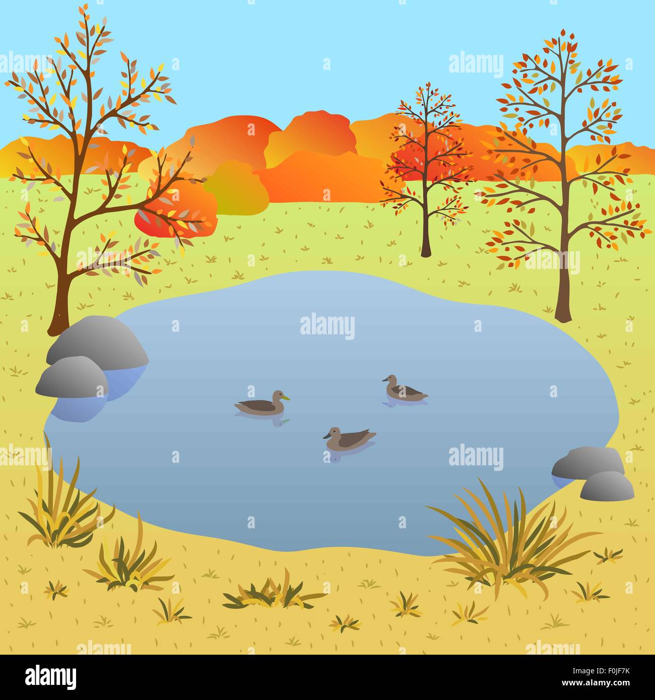 Flat autumn landscape, lake with ducks. Art vector illustration for you ...