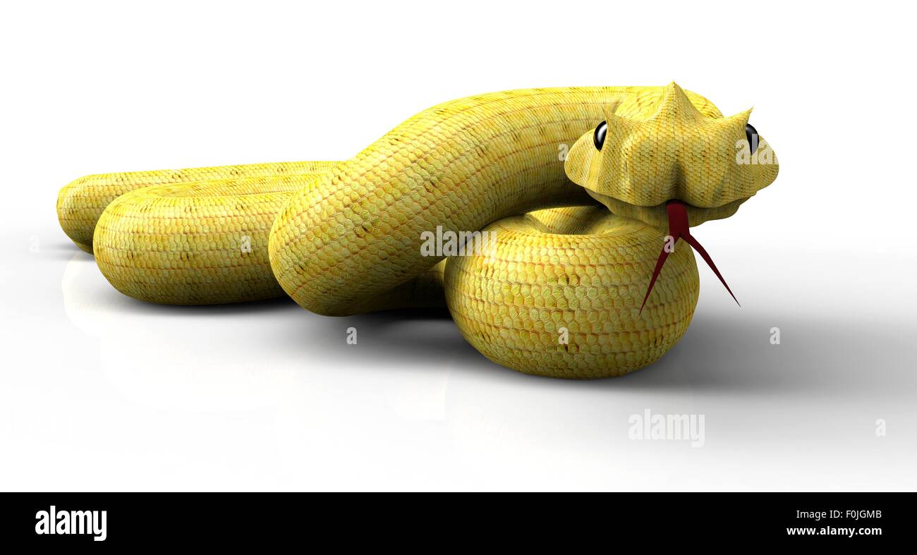 Python snake attack hi-res stock photography and images - Alamy