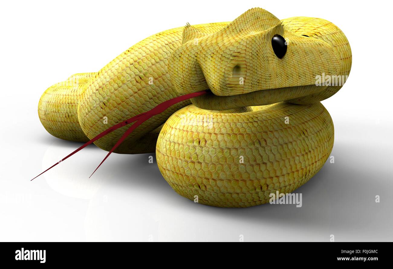 Python snake attack hi-res stock photography and images - Alamy
