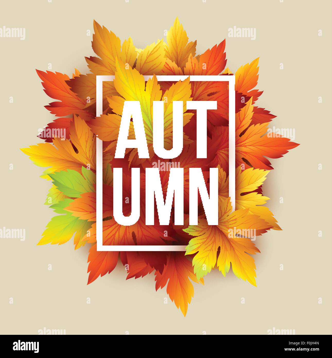 Autumn typographic. Fall leaf. Vector illustration Stock Vector Image ...