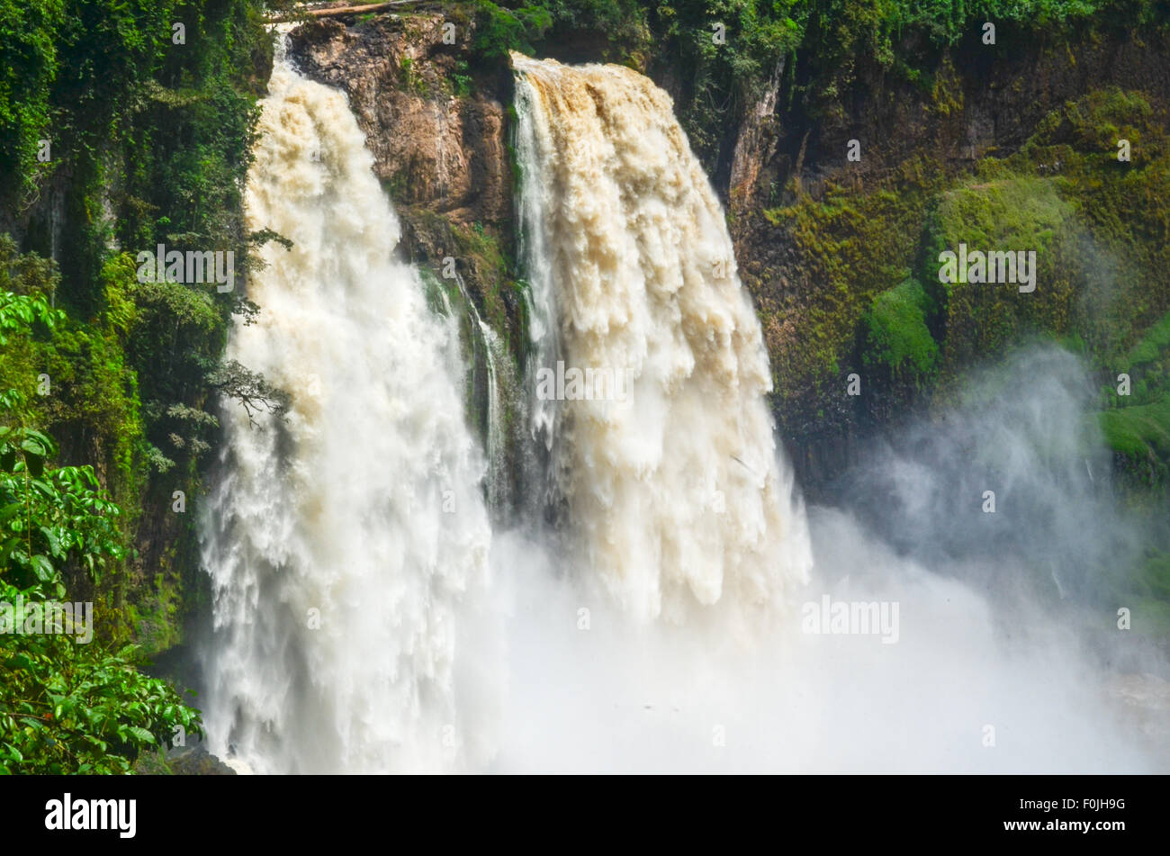 Ekom-Nkam waterfall near Nkongsamba, in Cameroon/Cameroun Stock Photo ...