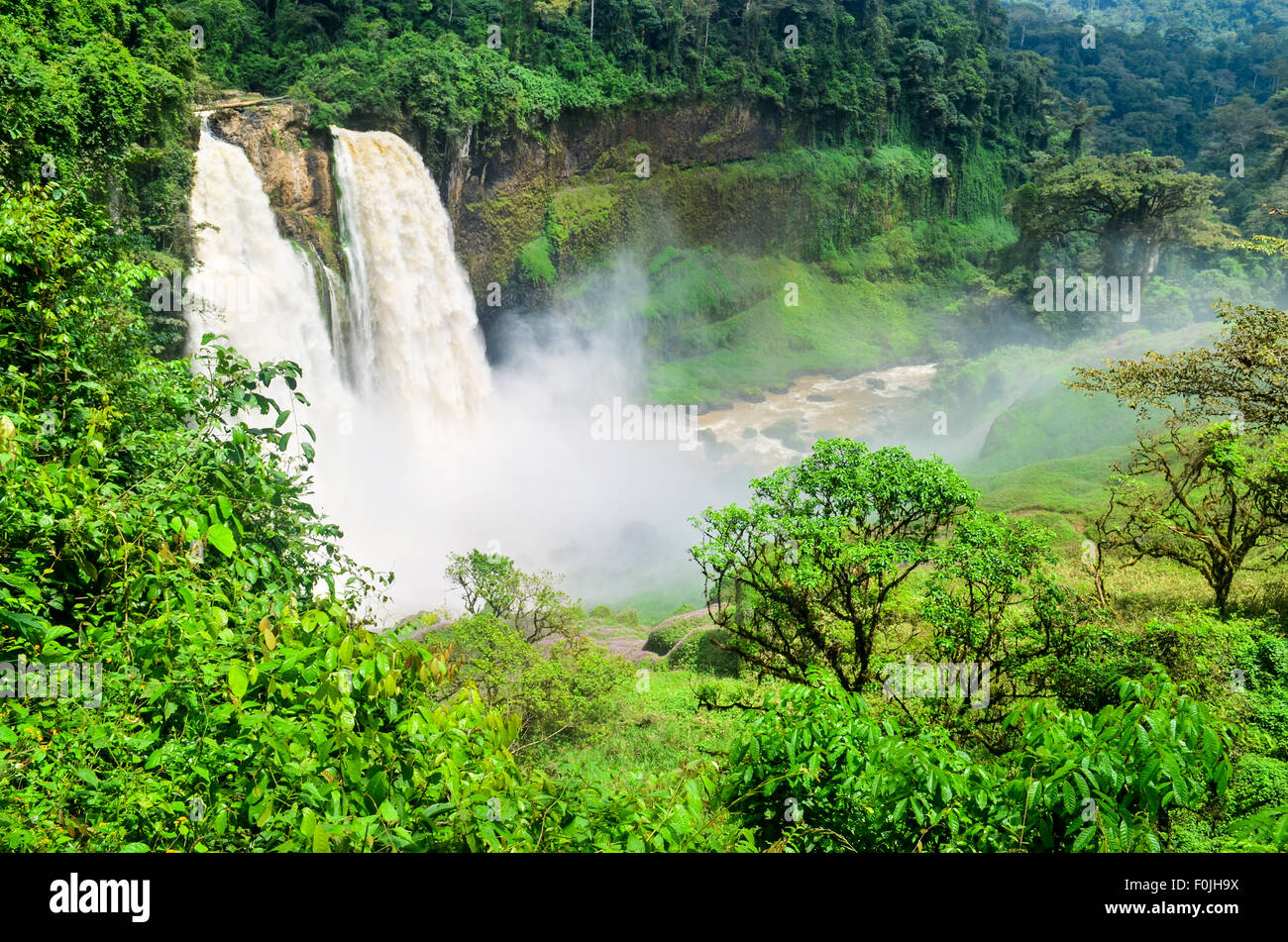 Cameroon hi-res stock photography and images - Alamy