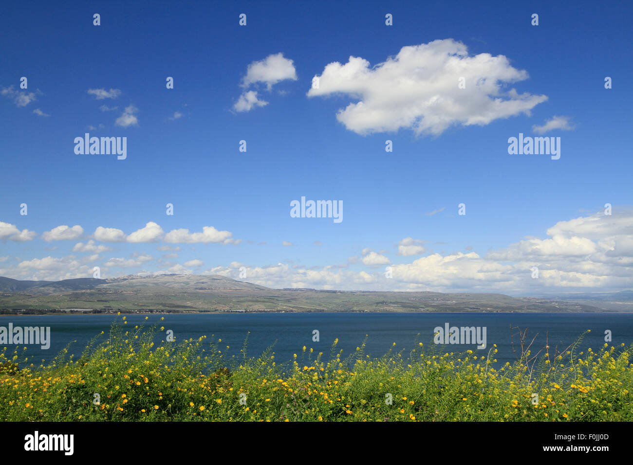 Israel, a view of the Sea of Galilee from Tiberias Stock Photo - Alamy