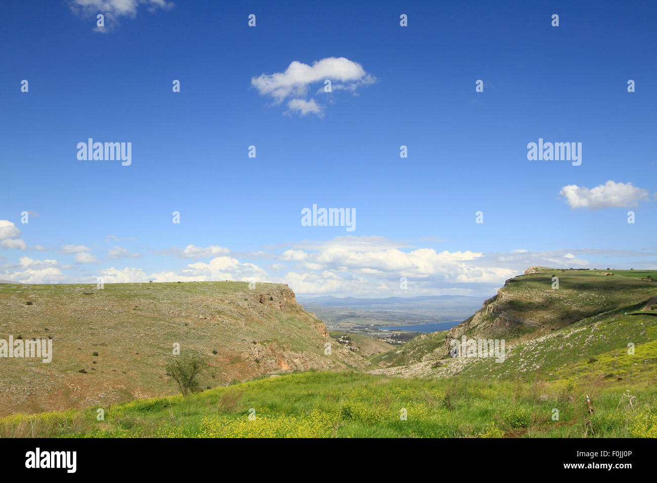 Hi205 750 hi-res stock photography and images - Alamy