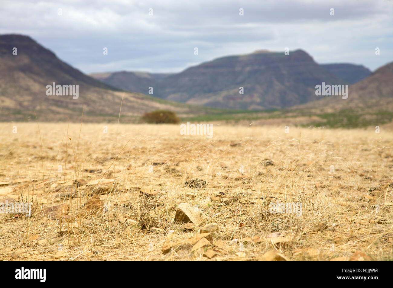 Kaokoland desert in namibia hi-res stock photography and images - Alamy