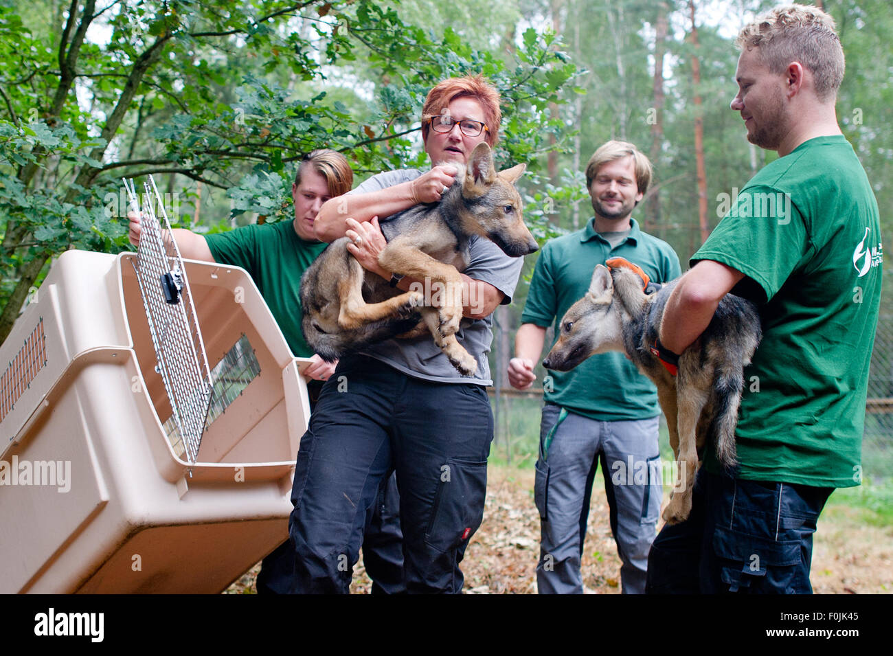 Hanau, Germany. 17th Aug, 2015. Biologist Marion Ebel (2-L) holds a ...
