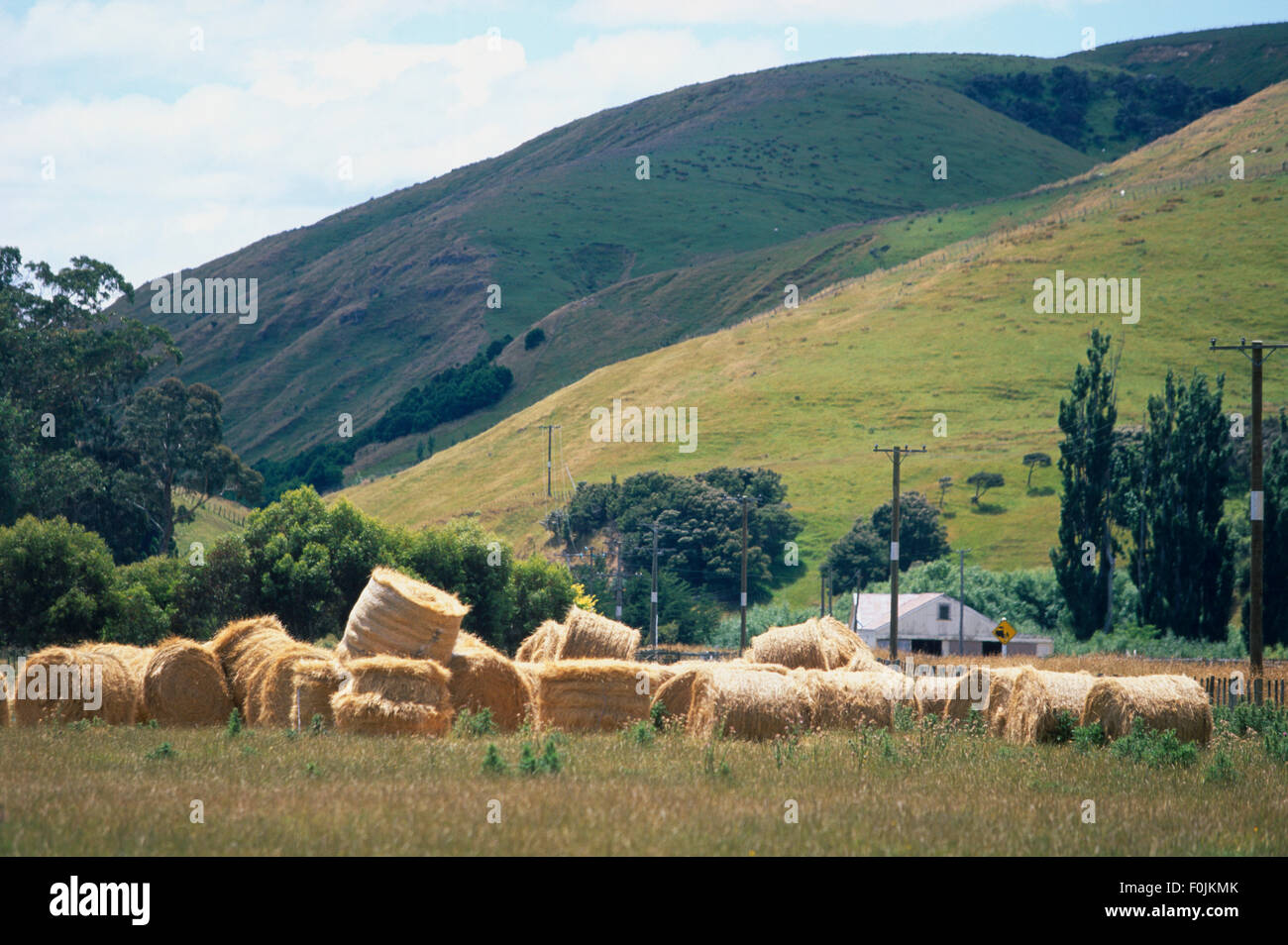 New Zealand North Island hay rolled into bales ready for storing on a ...