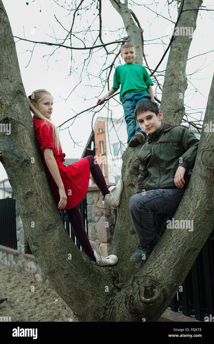 Children climb on tree Stock Photo - Alamy