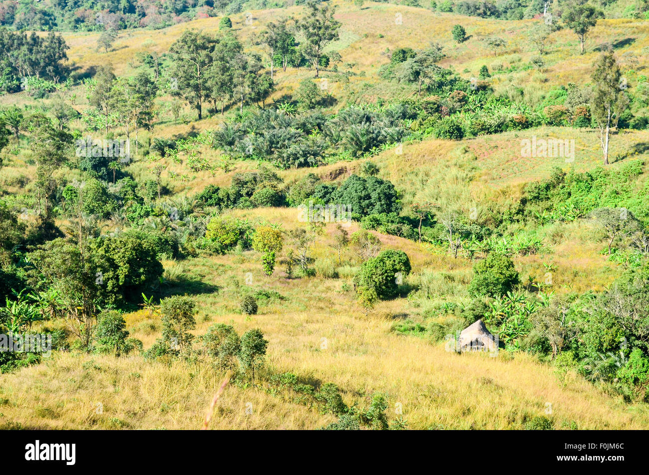 House in the Cameroonian countryside Stock Photo - Alamy