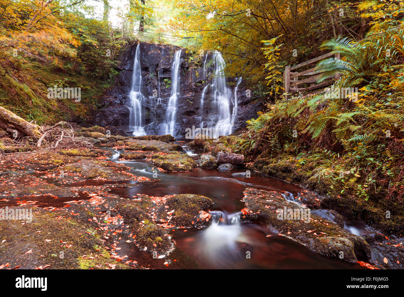 Crub hi-res stock photography and images - Alamy