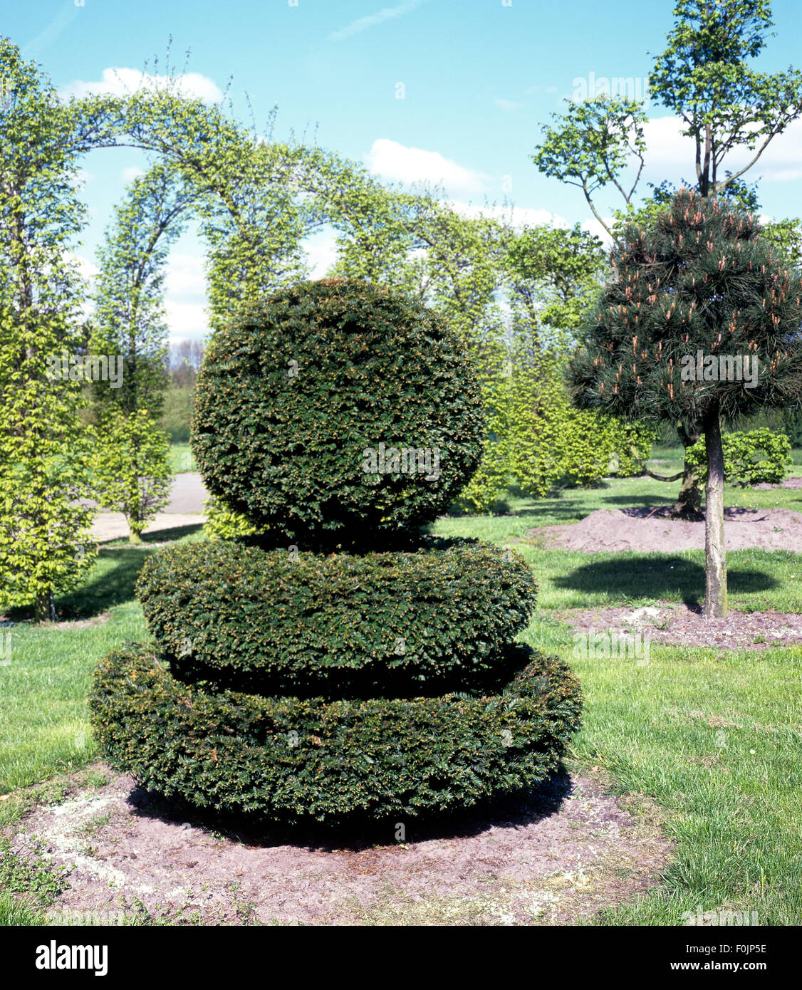 Eibe hi-res stock photography and images - Alamy