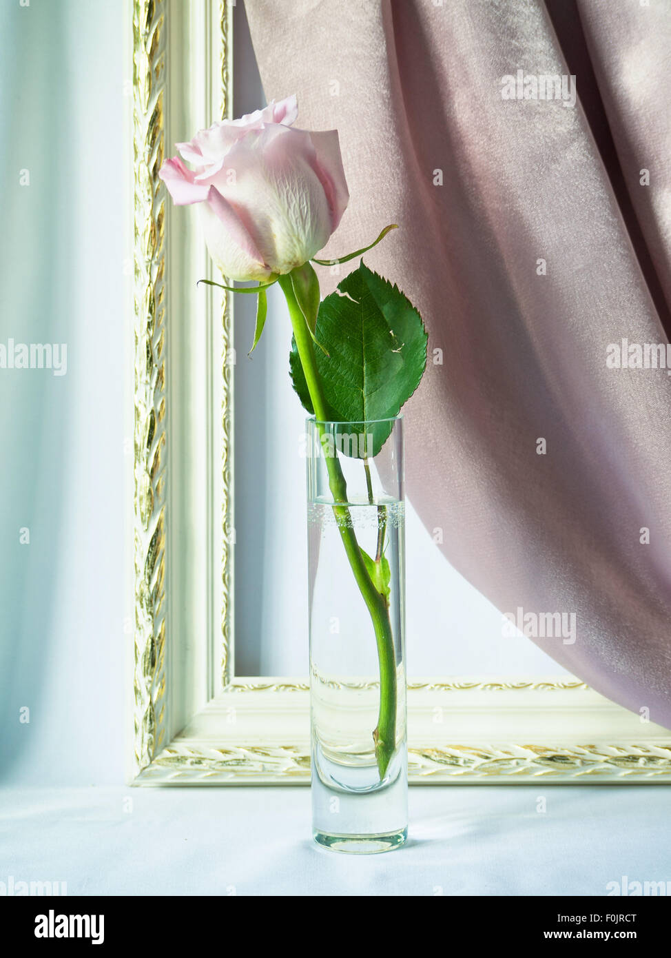 Rose in a glass vase Stock Photo - Alamy
