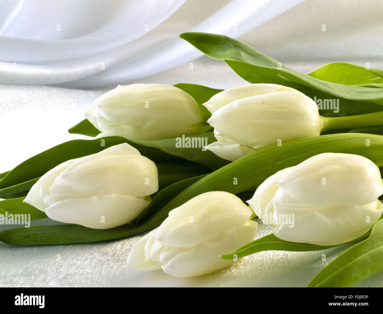 Seasonal white hi-res stock photography and images - Alamy