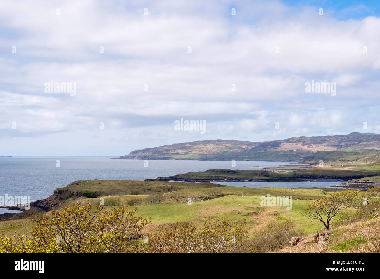 Looking west along remote north coast of Loch Tuath. Fanmore, Isle of ...