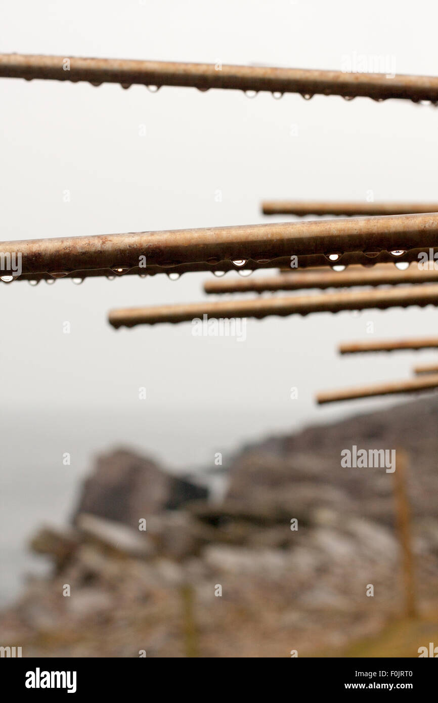 Copper poles with raindrops Stock Photo - Alamy