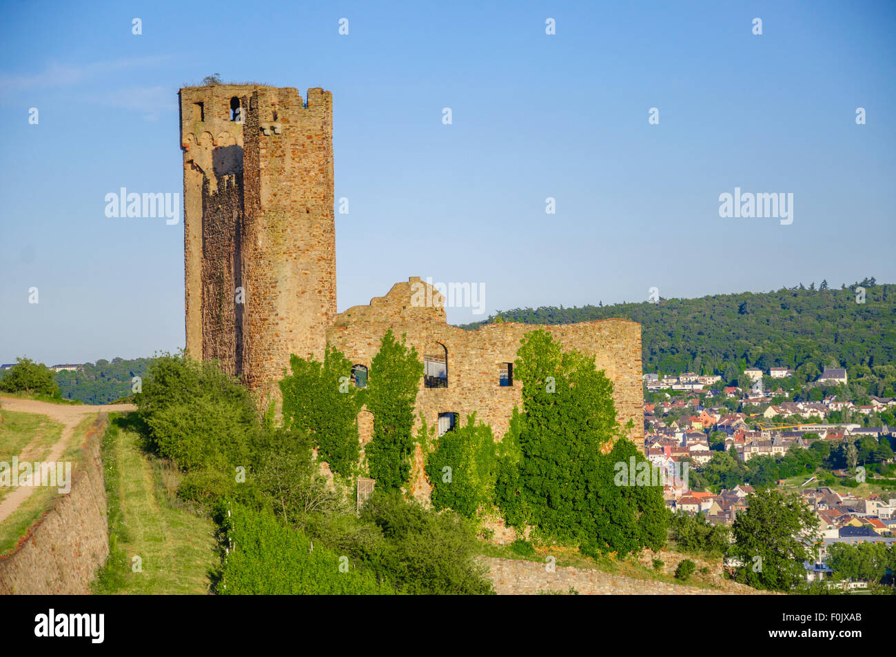 Ehrenfels Castle on Rhine river near Ruedesheim Stock Photo - Alamy