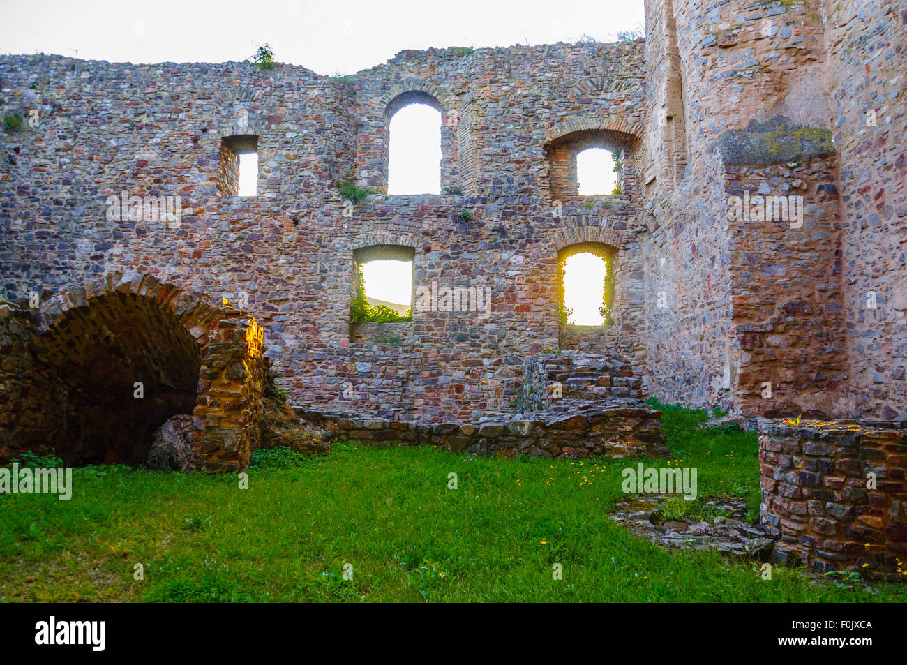 Ehrenfels Castle on Rhine river near Ruedesheim Stock Photo - Alamy