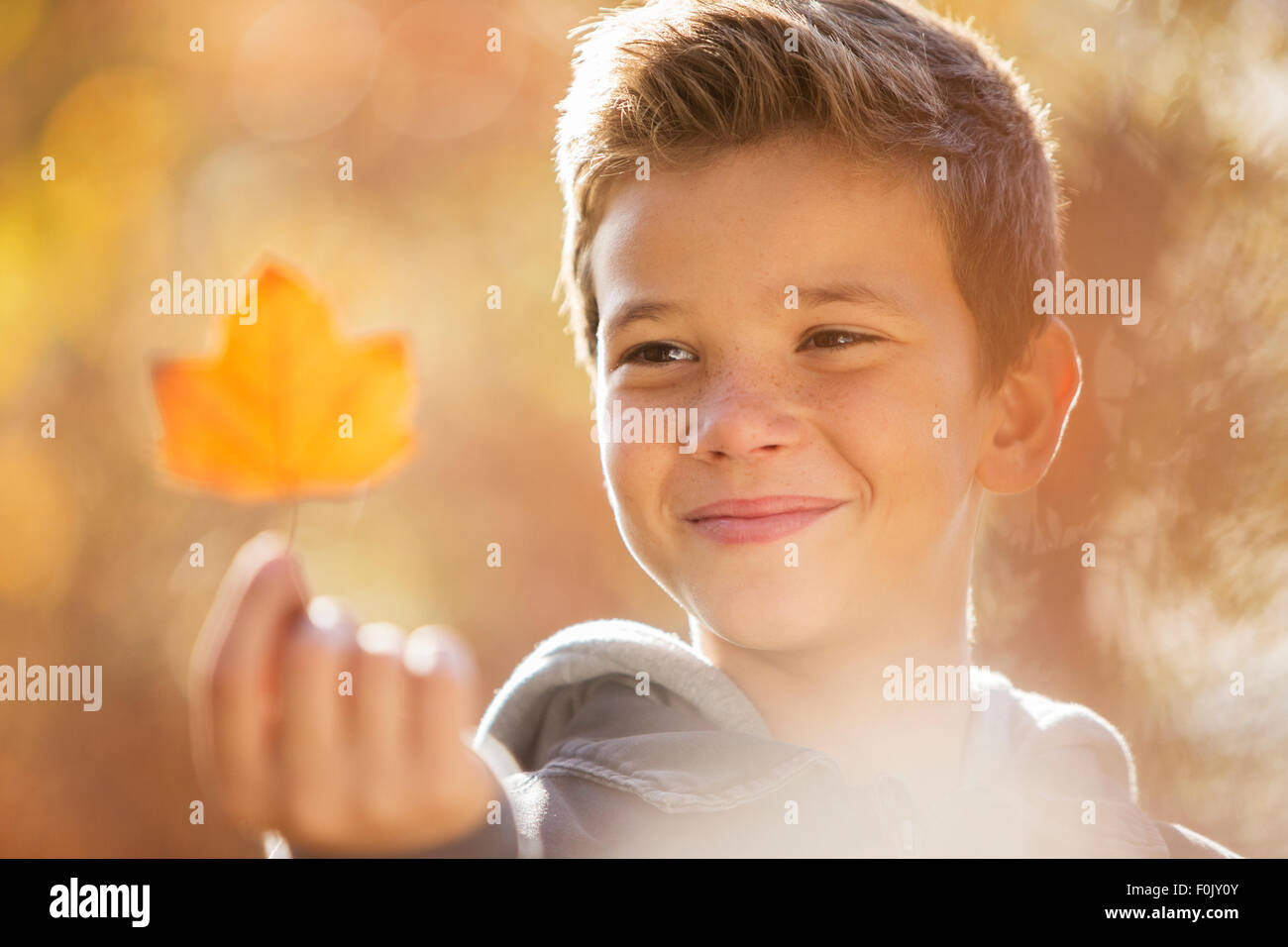 Close up image autumn hi-res stock photography and images - Alamy
