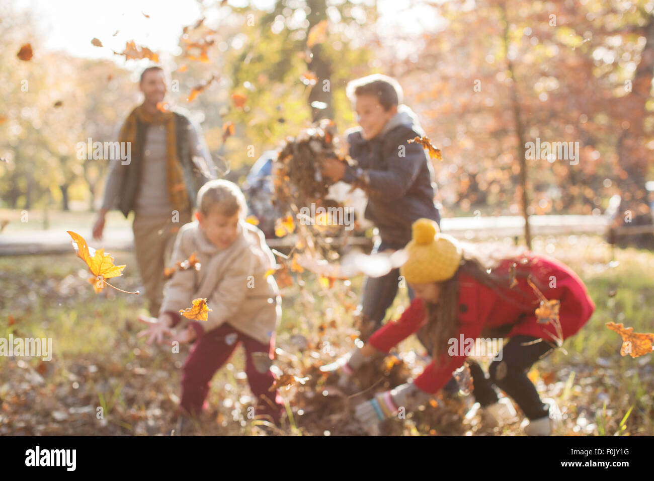 Family playing in autumn leaves at park Stock Photo - Alamy