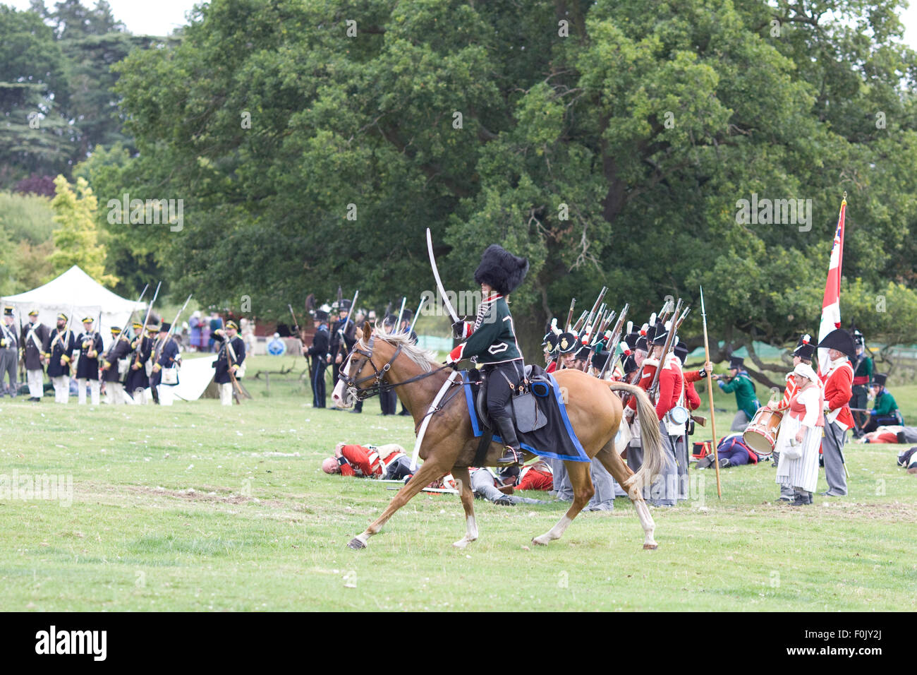 Field gun waterloo hi-res stock photography and images - Alamy