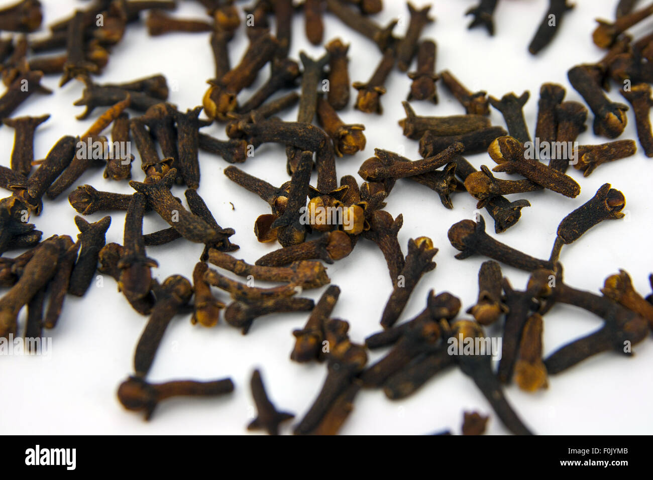Cloves isolated on white background Stock Photo - Alamy