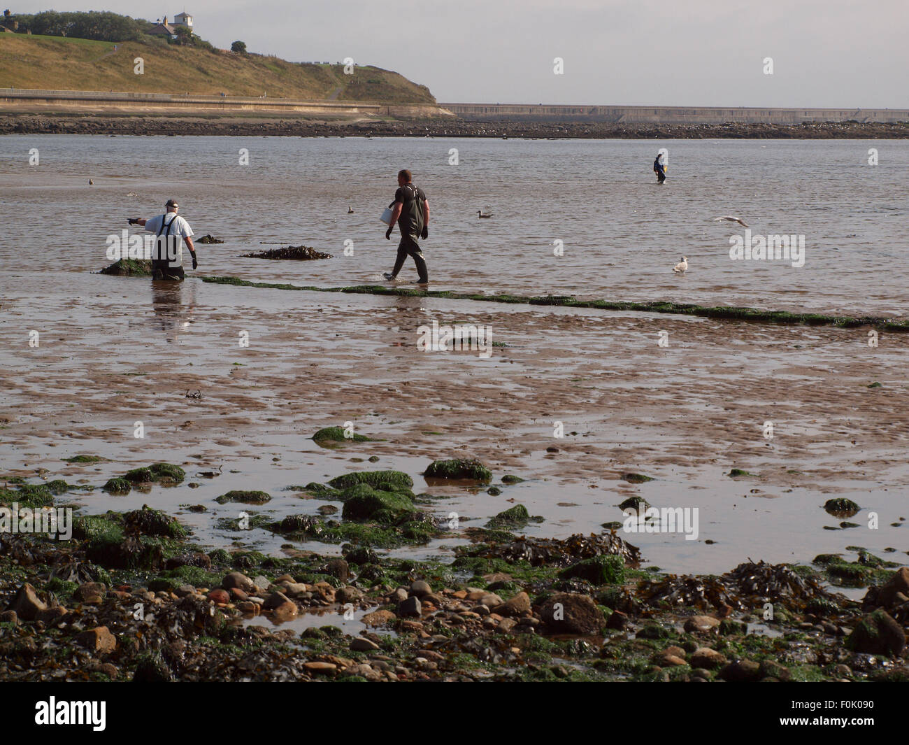 Newcastle Upon Tyne, 17th August 2015, UK Weather. fine weather at low ...