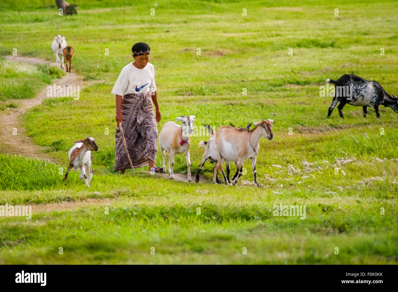 Woman Walking Goat High Resolution Stock Photography and Images - Alamy