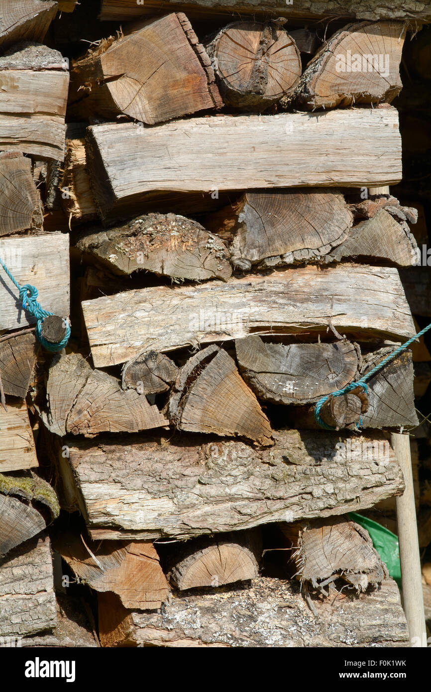 Stack of firewood piled high for winter use in French farm Stock Photo ...