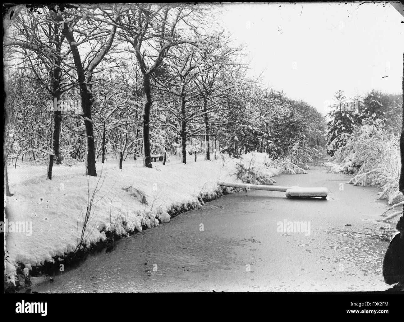 Hofvijver is a historical body of water located in The Hague ...