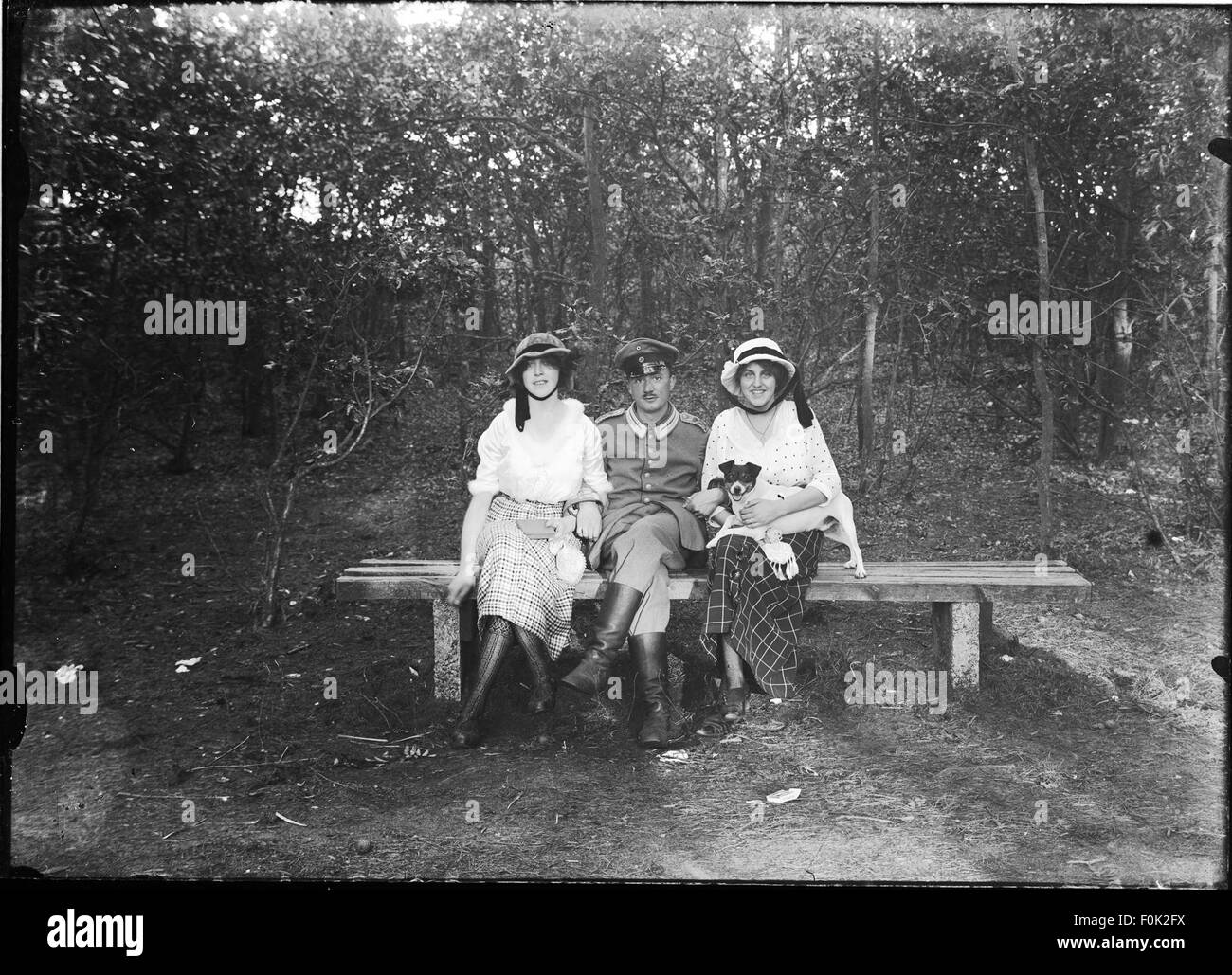 The title 'In het bos' translates to 'In the forest' in English. It ...