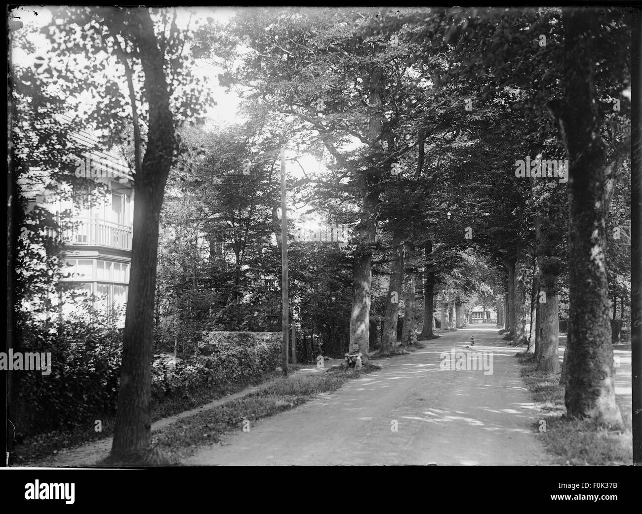 Studler hi-res stock photography and images - Alamy