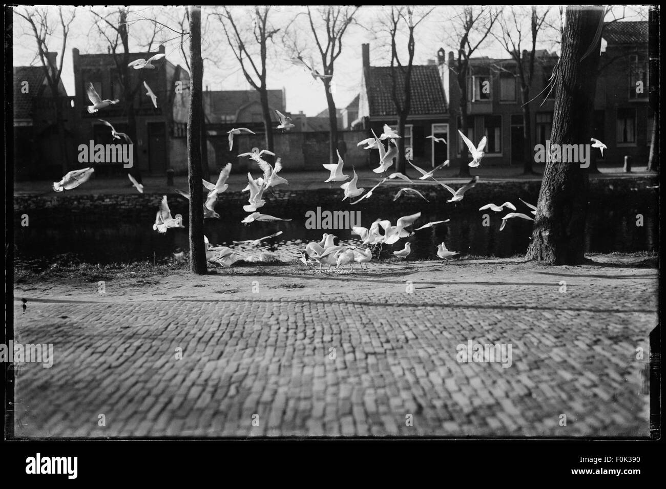 Den Helder, a city located in the Netherlands, is known for its ...